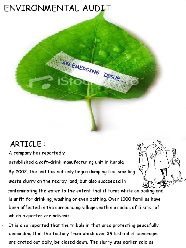 Environmental Audit | PDF | Environmental Impact Assessment | Audit