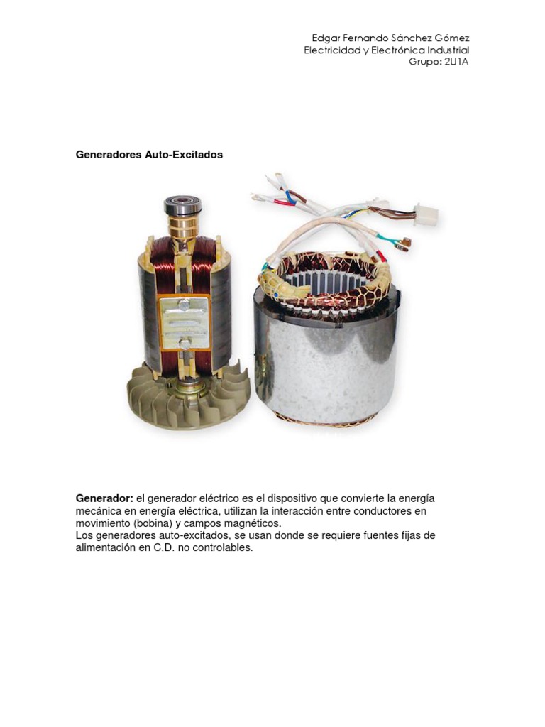 Generadores Autoexcitados