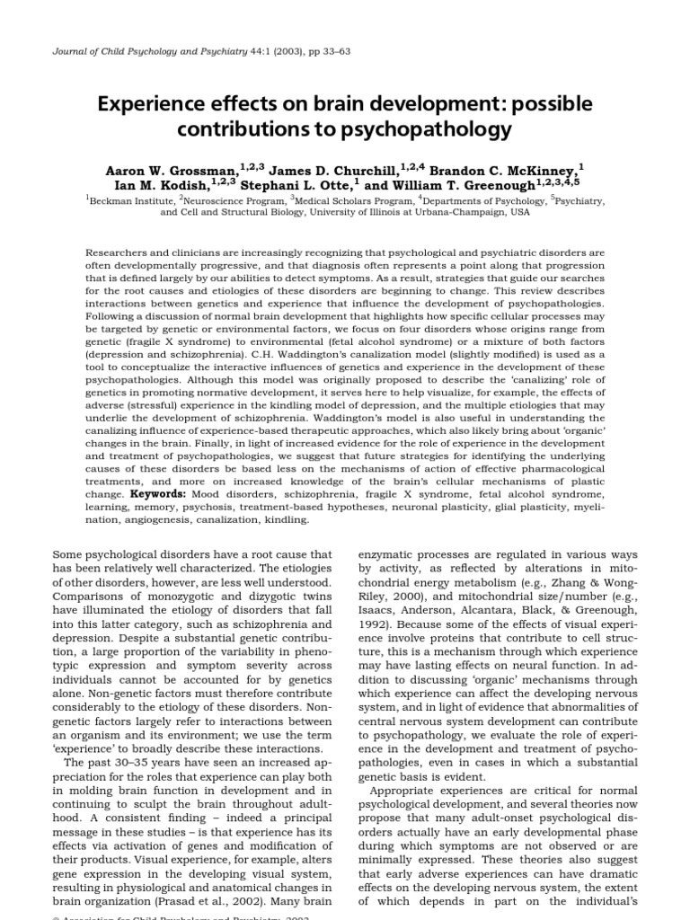 Experience Effects On Brain Development Possible Contributions To ...
