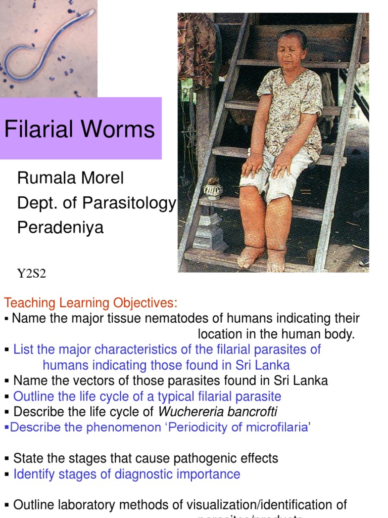 FILARIAL Worms - Y2S2 Rumala | PDF | Veterinary Medicine | Animal Diseases