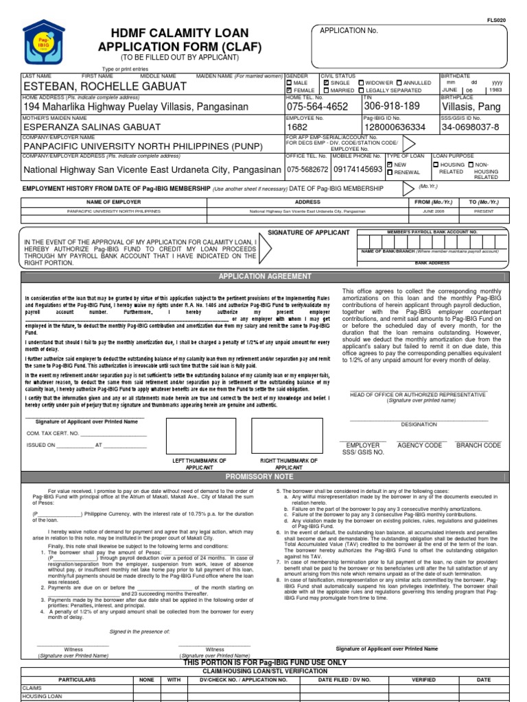 FLS020 HDMF Calamity Loan Application Form Aug 09 - 092809 - F | PDF ...
