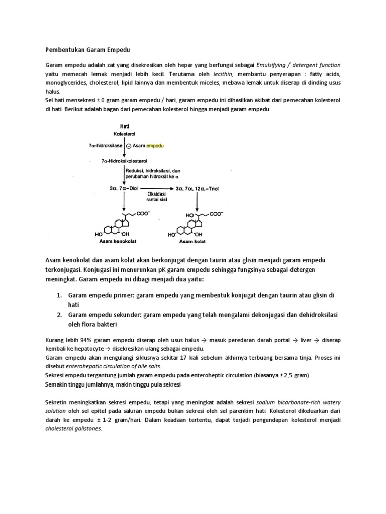 Proses dan Fungsi Garam Empedu | PDF | Memasak, Makanan, & Anggur ...