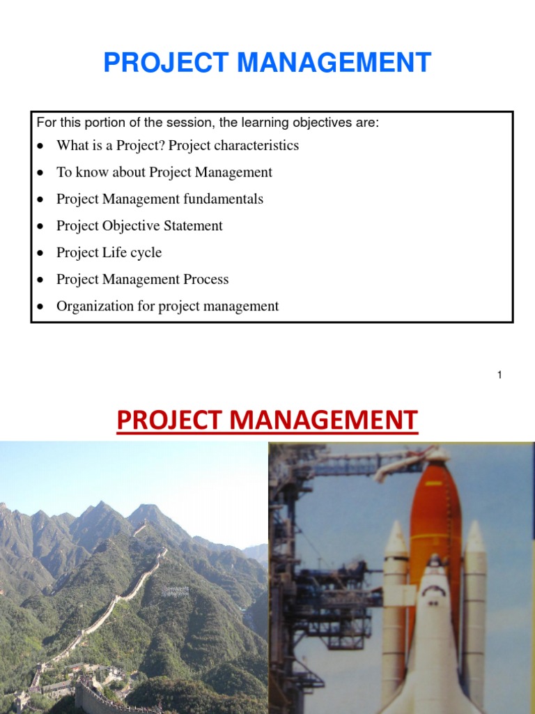 Project Management Chapter 1 | PDF | Project Management | Risk Management