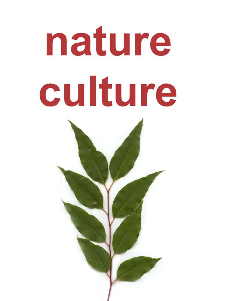 Nature Culture | PDF | Eucalyptus | River