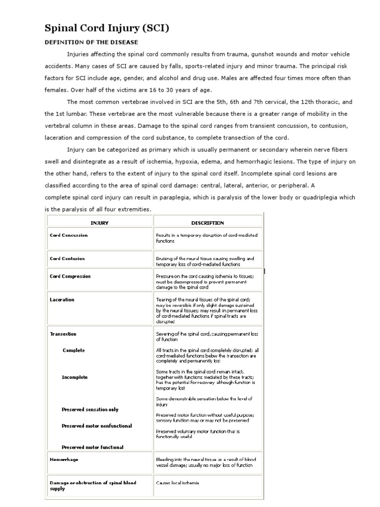 Handout Orthopedic Nursing Spinal Cord Injury | Download Free PDF ...