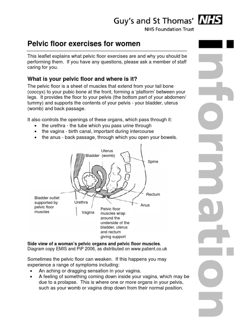 Pelvic Floor Exercises for Women | Urinary Incontinence | Urinary Bladder