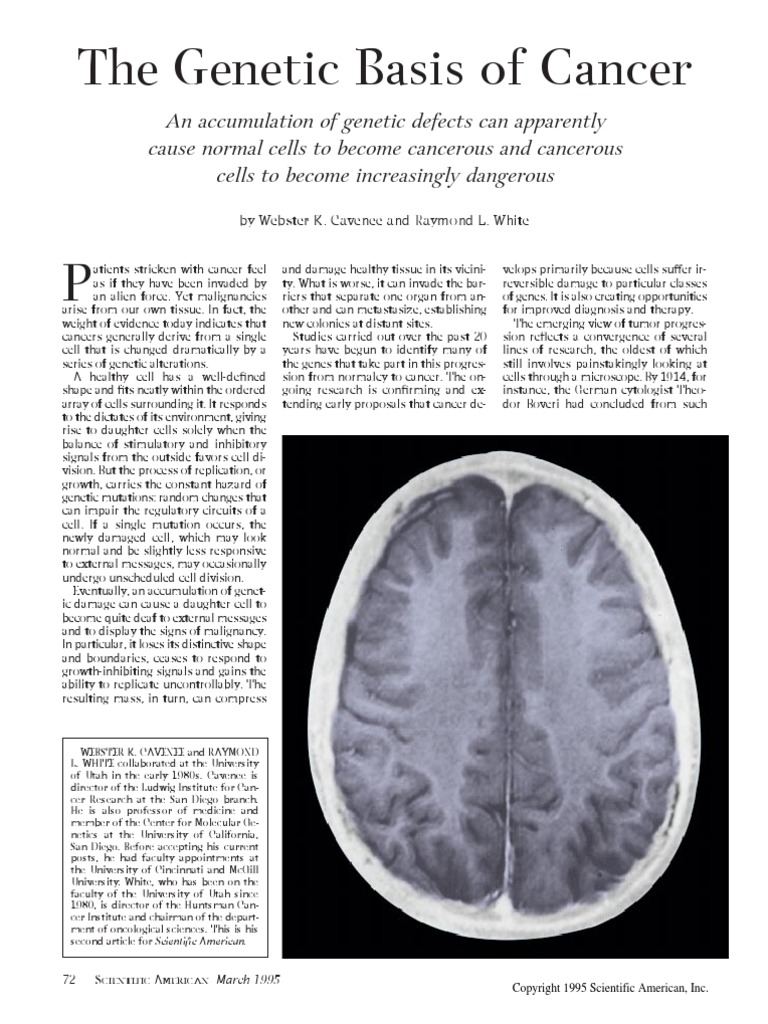 The Genetic Basis of Cancer | PDF | Neoplasms | Cancer