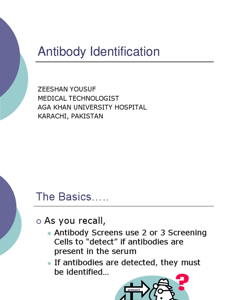 ANTIBODY IDENTIFICATION.ppt | Antibody | Immune System