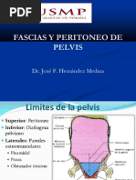 Anatomía del Recto y Conducto Anal | PDF | Útero | Recto