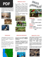 Fauna de la región chala y costa peruana | PDF