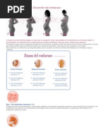Tomevit Solución: Adultos Niños Lactantes | PDF