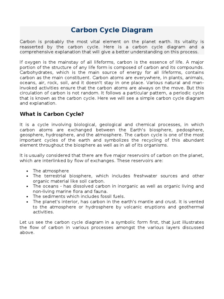 Carbon Cycle Diagram | PDF | Carbon Cycle | Carbon