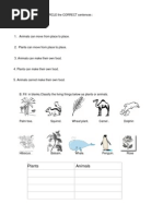 Science Grade 1 Worksheets and Assessments PDF | PDF