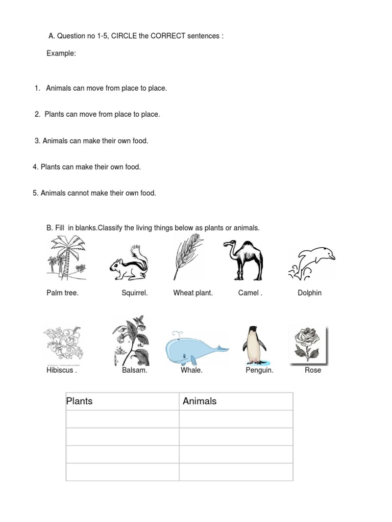 Grade 1 Science Living Things Worksheet | PDF
