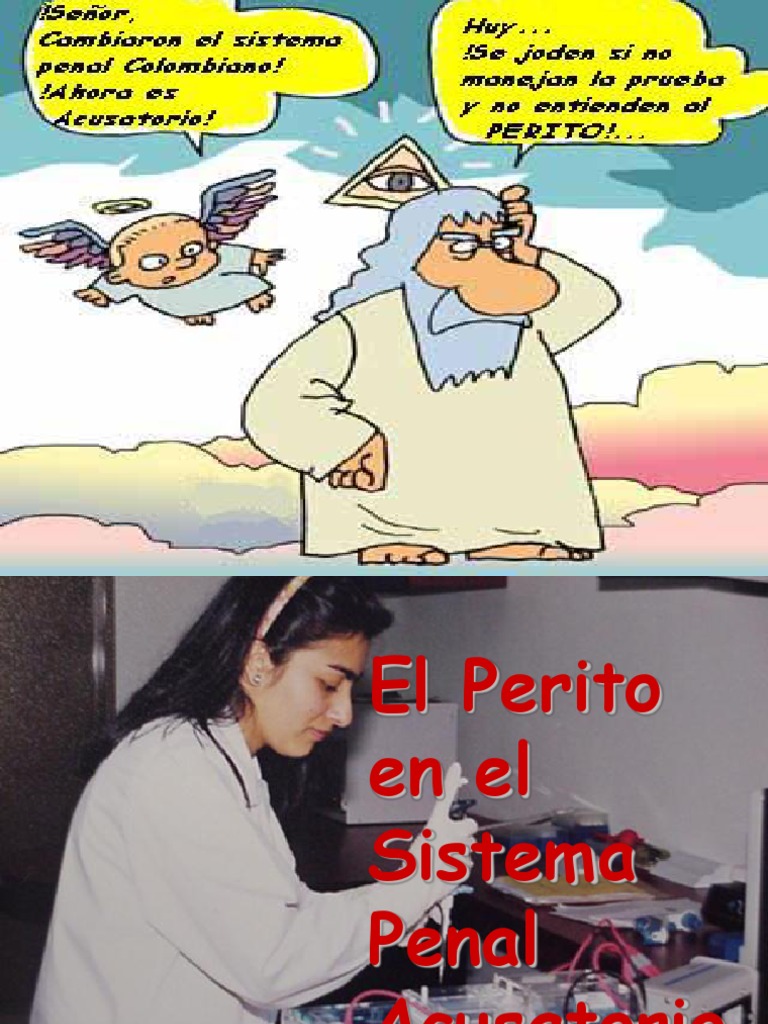 Perito Y Sistema Acusatorio Pdf Testigo Experto Evidencia Ley