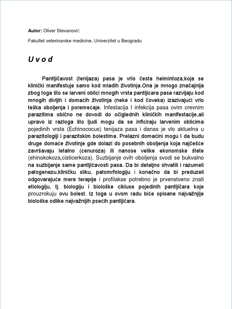 Pantljicare Pasa | PDF
