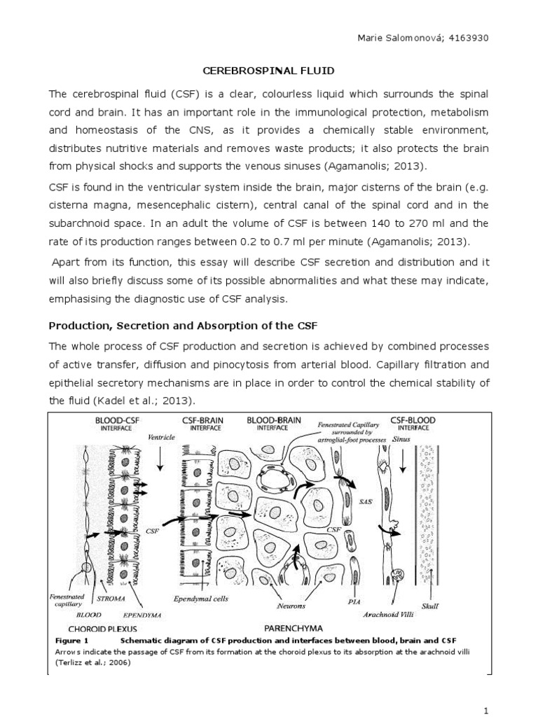 Cerebrospinal Fluid | PDF | Cerebrospinal Fluid | Central Nervous System