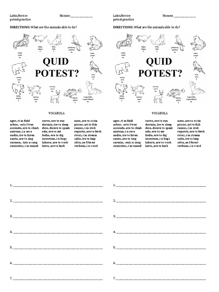 Possum, Posse Exercise | PDF