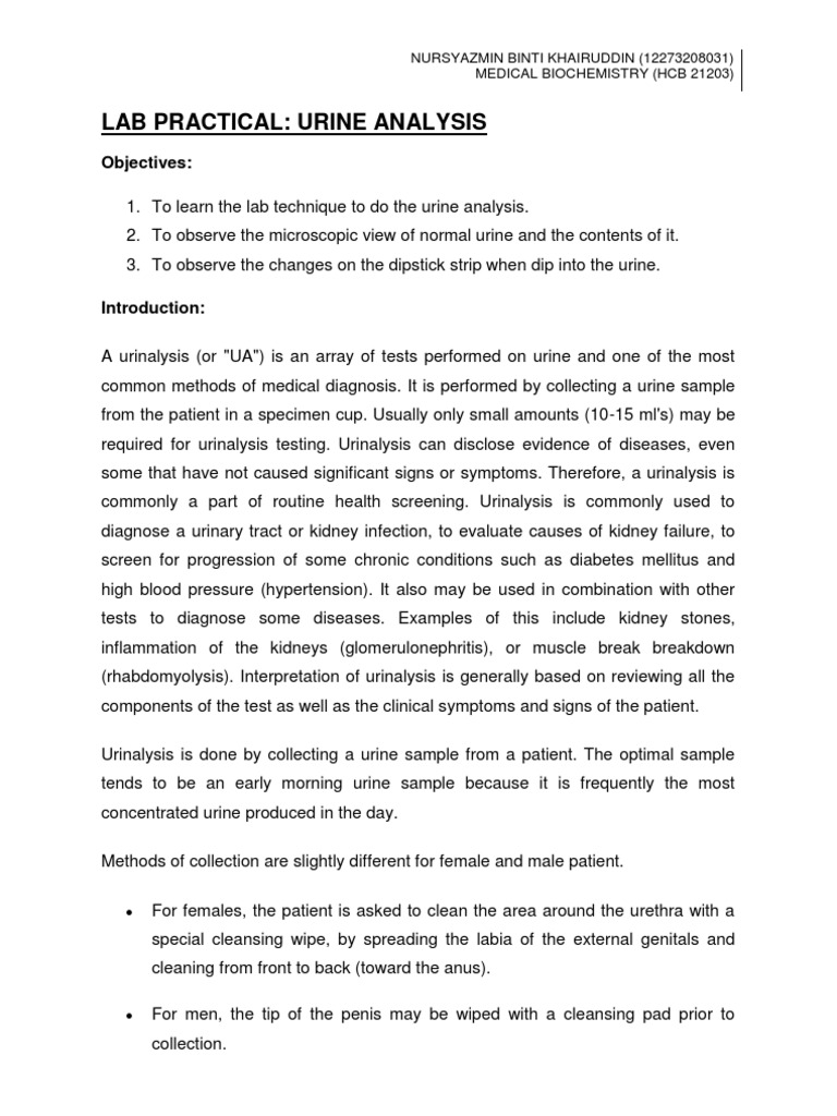 Urine Analysis Lab Report Summary | PDF | Urine | Urinary System