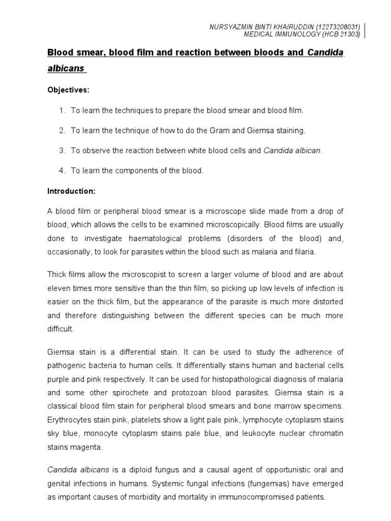 BLOOD FILM ANALYSIS | PDF | White Blood Cell | Lymphocyte