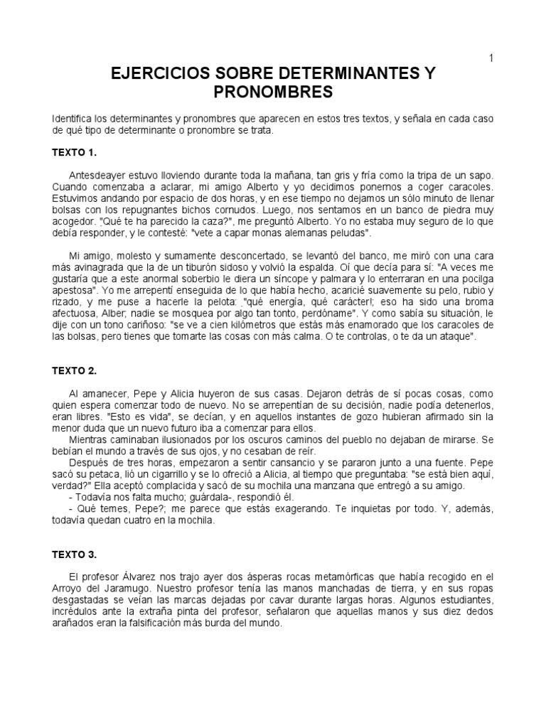 Ejercicios sobre determinantes y pronombres | PDF | Sintaxis ...