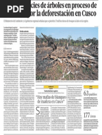 Memoria Anual 2024 | PDF | Marca | Perú