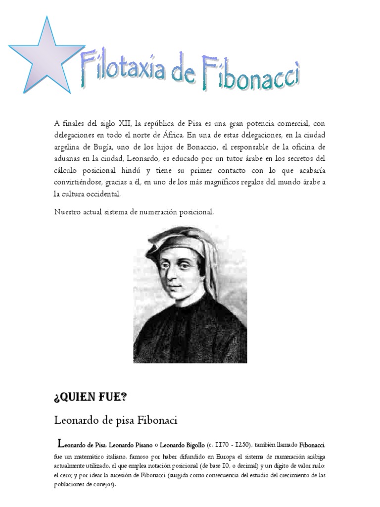 Filotaxia de Fibonacci | PDF | Enseñanza de matemática | Science
