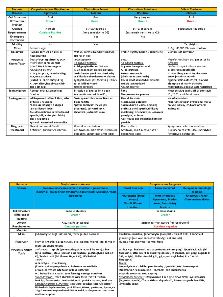 Nina Bacteria Chart Medical School Step 1 | PDF | Escherichia Coli ...