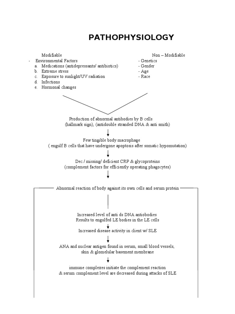 SLE Pathophysiology | PDF