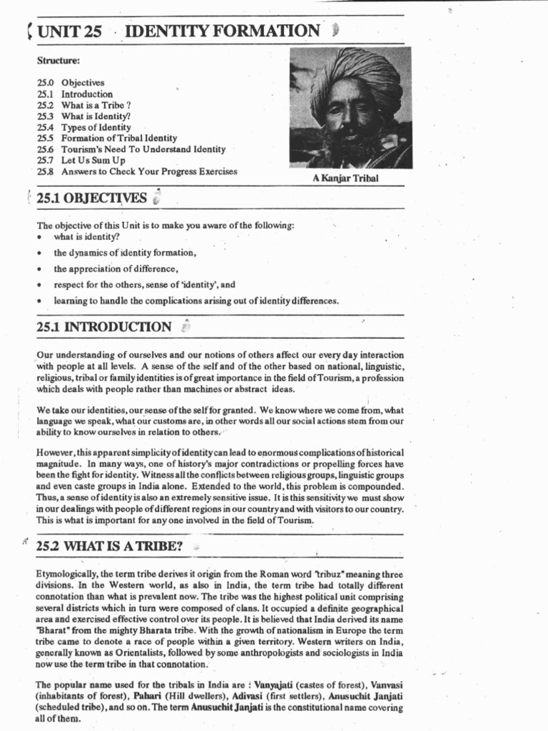 Understanding Tribal Identity in India | PDF | Identity (Social Science ...