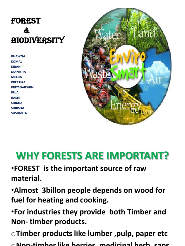 Importance of Forests and Biodiversity | PDF | Biodiversity | Forests
