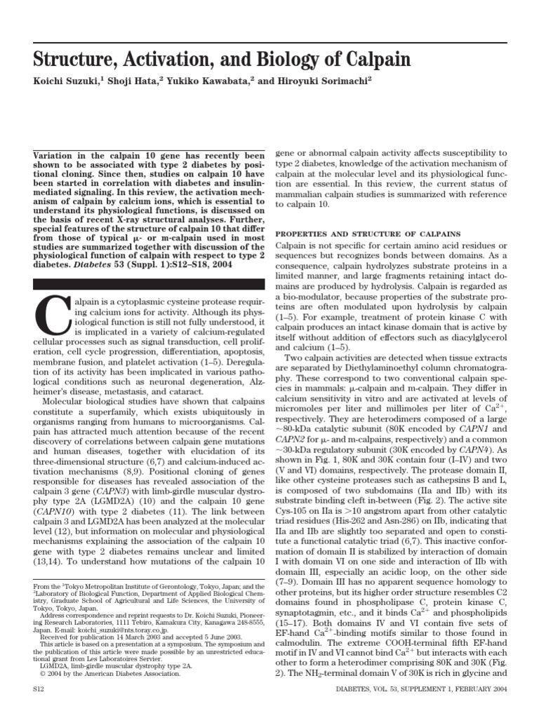 Structure, Activation and Biology of Calpain | PDF | Protein Domain ...