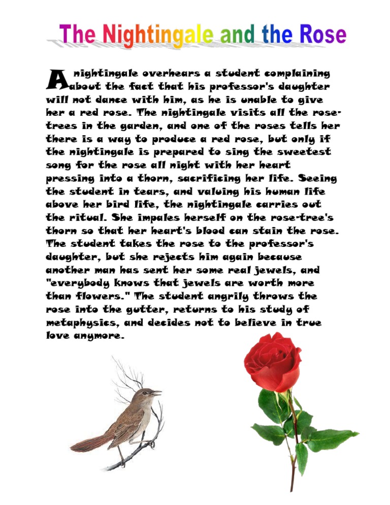 Nightingale's Sacrifice for Love | PDF