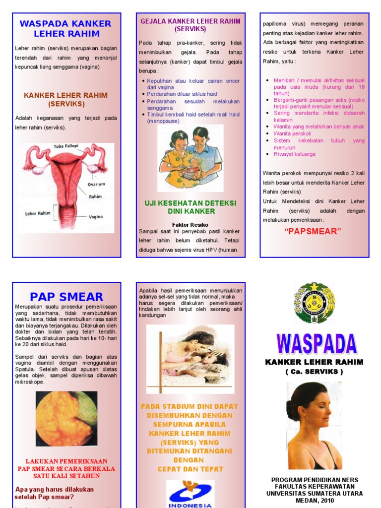 Leaflet CA. Serviks Ok | PDF