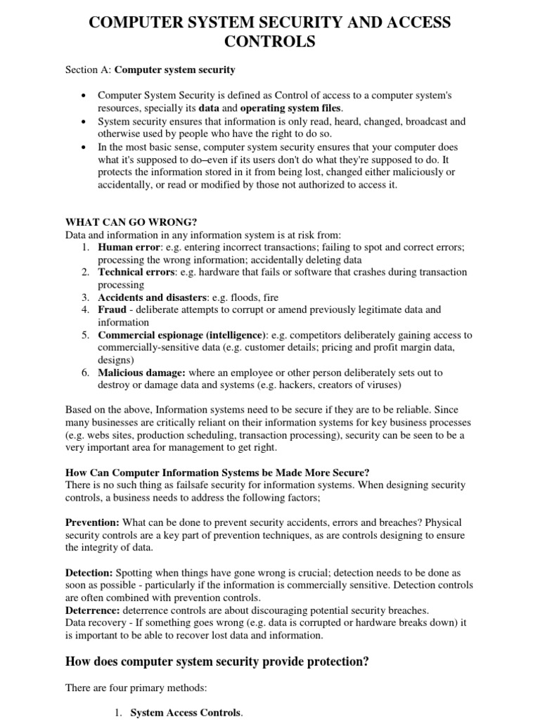 Computer System Security and Access Controls | PDF | Password | Access ...