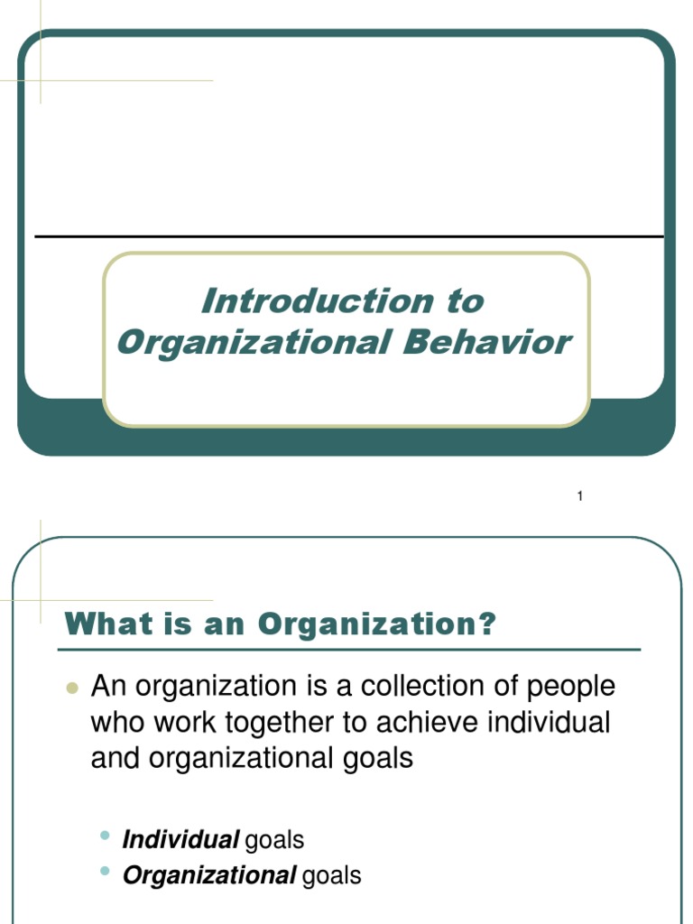 Introduction To Organizational Behavior | PDF | Organizational Behavior | Organizational Culture