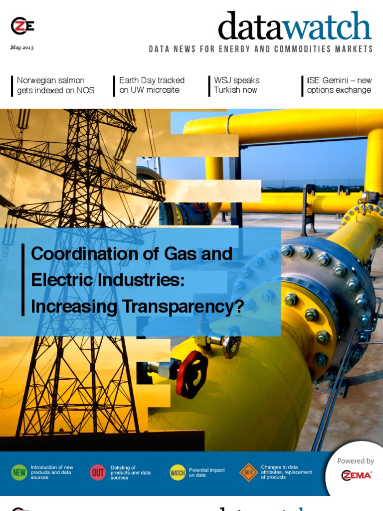 DataWatch May 2013 | PDF | Chicago Mercantile Exchange | Futures Exchange