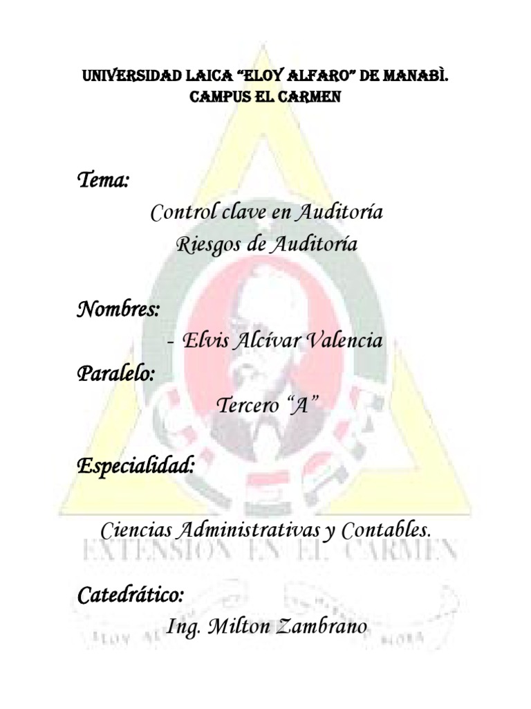 Controles Clave en Auditoría y Riesgos | PDF | Auditoría financiera ...