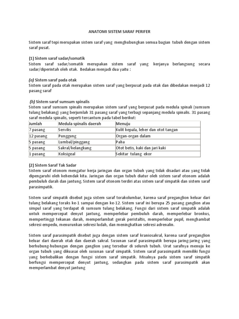 Anatomi Sistem Saraf Perifer | PDF