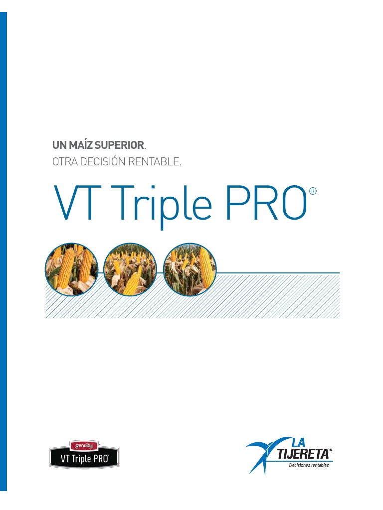 Maíz VT Triple PRO: Protección y Rendimiento | PDF | Maíz | Plaga ...
