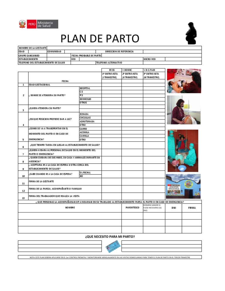 Plan de Parto | PDF | Derecho