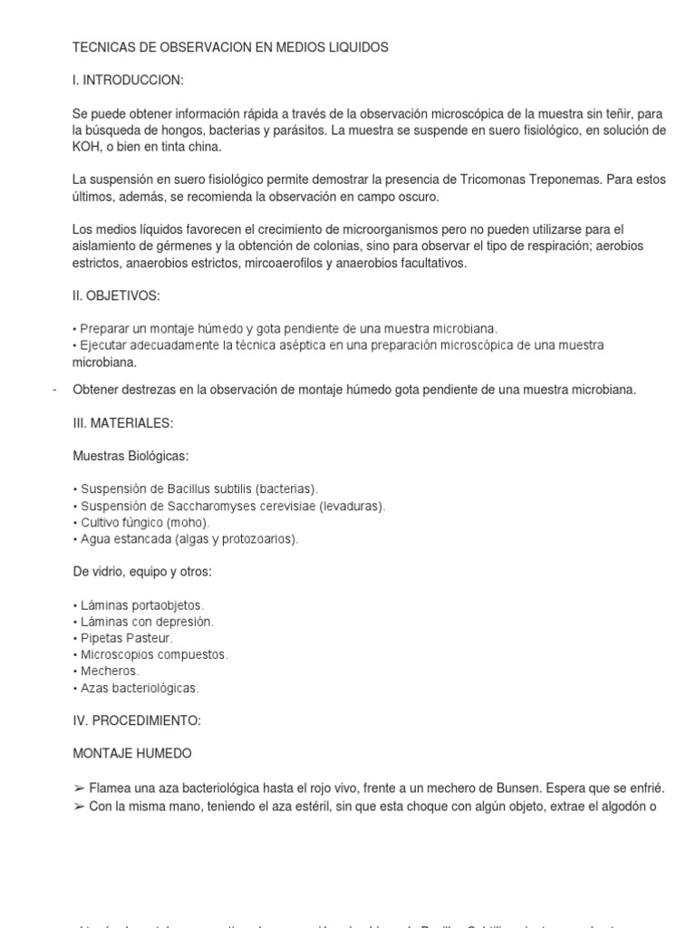 Tecnicas de Observacion en Medios Liquidos | PDF | Microorganismo | Las bacterias
