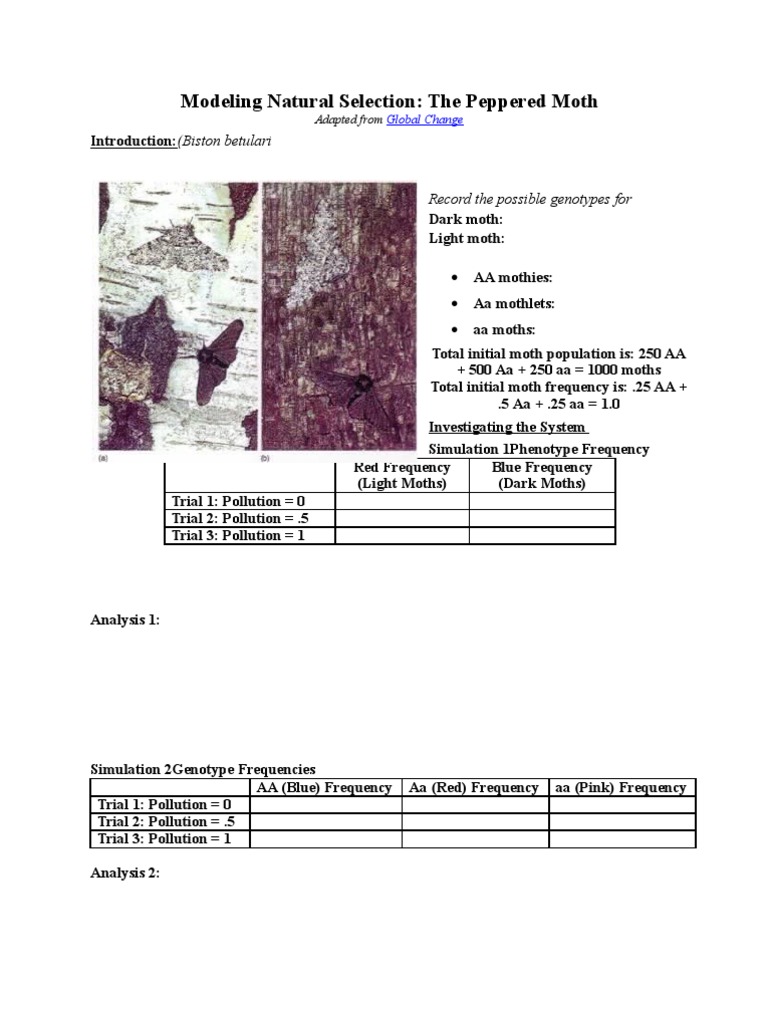 Peppered Moth Natural Selection Model | PDF