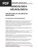 Reflejo Cremastérico: Definición y Ausencia | PDF