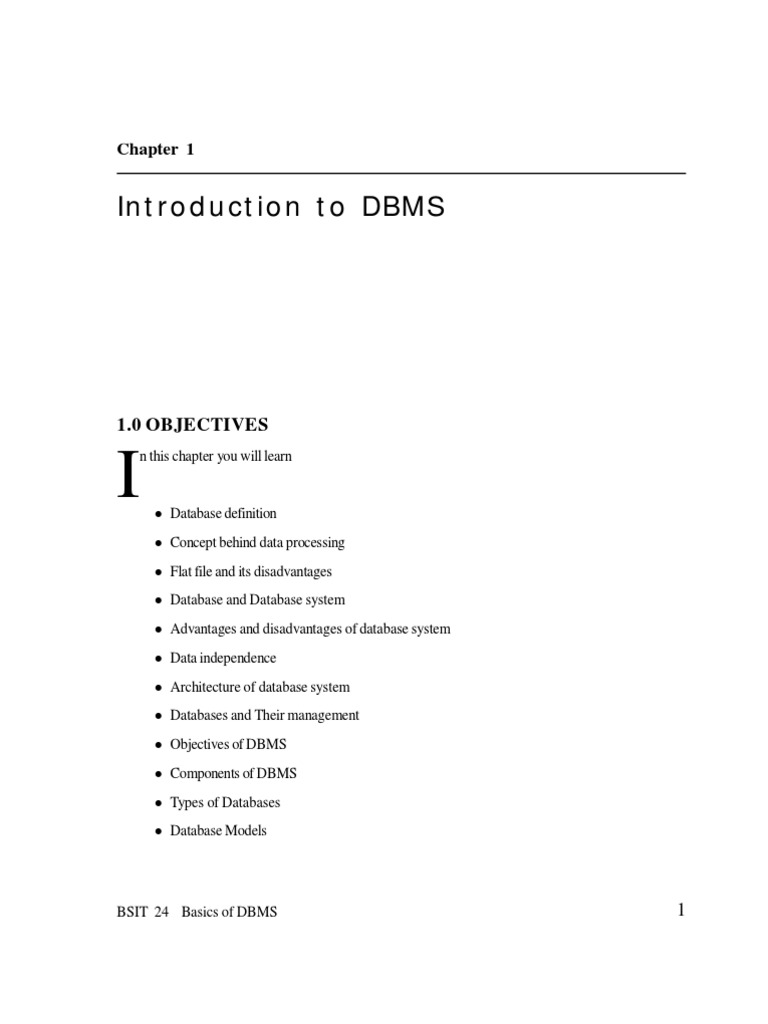 BSIT 24 Main | PDF | Data Model | Databases