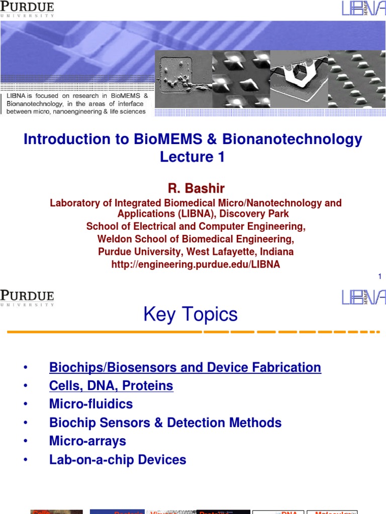 Introduction To Biomems & Bionanotechnology: R. Bashir | PDF | Dna ...