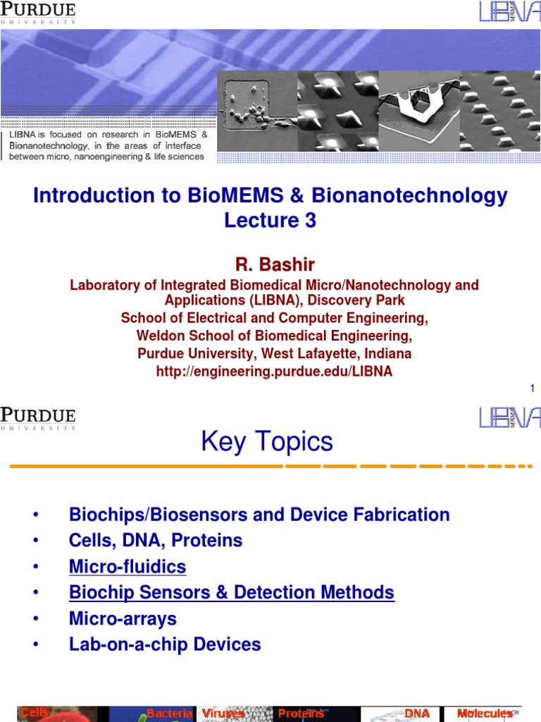 Introduction To Biomems & Bionanotechnology: R. Bashir | Download Free ...