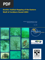 Douglas Sea Scale | PDF | Physical Oceanography | Scientific Phenomena