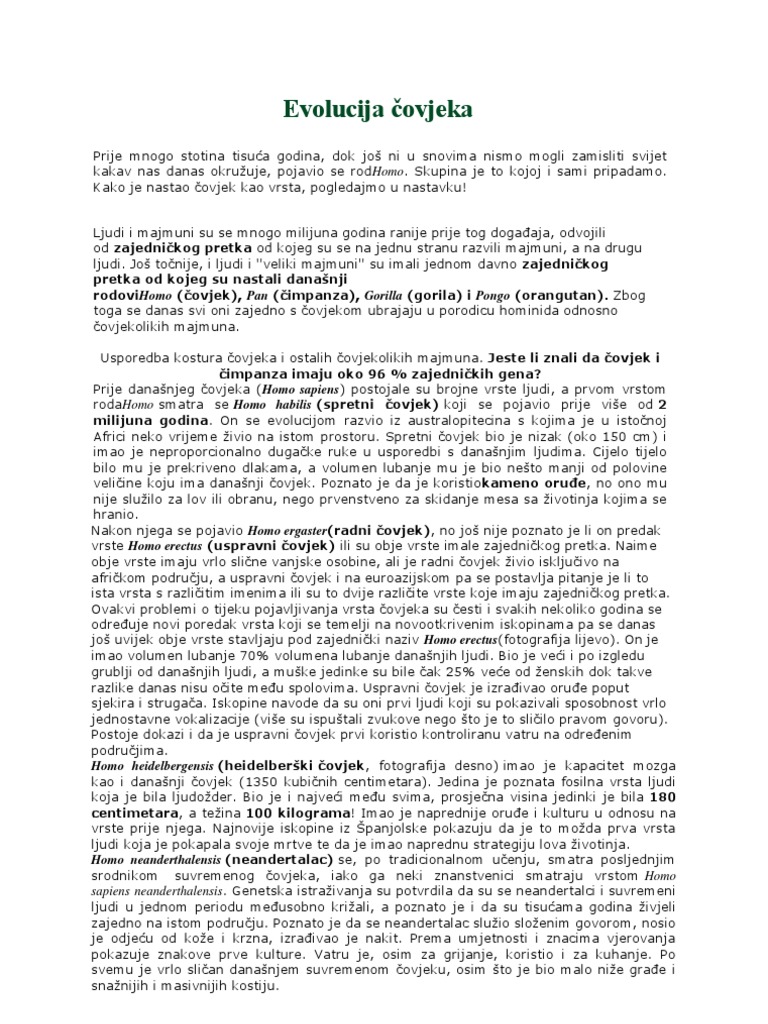 Evolucija Čovjeka | PDF