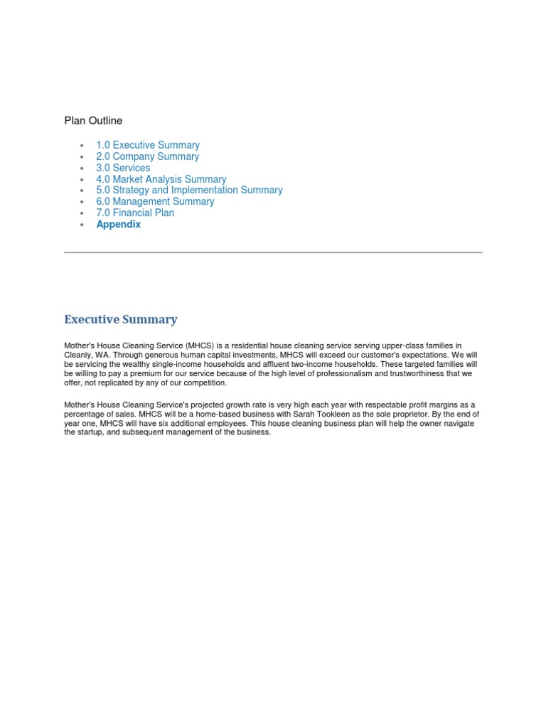 Business Plan For Cleaning Service | PDF | Balance Sheet | Revenue